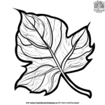 25+ Exciting Science Coloring Pages: Fun And Educational For Kids