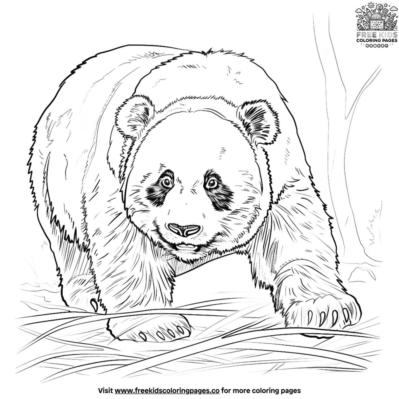 25+ Adorable Panda Coloring Pages: Fun And Educational