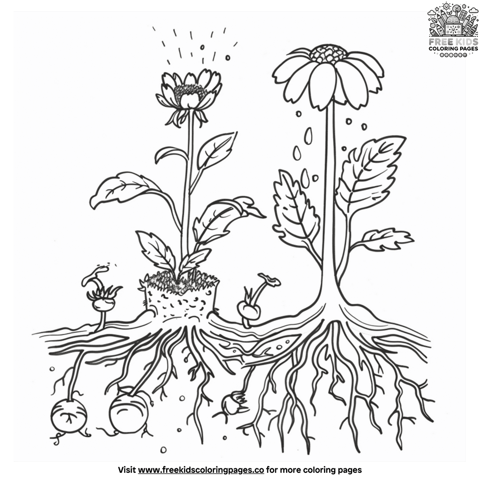 25+ Enchanting Plant Coloring Pages For Fun Learning