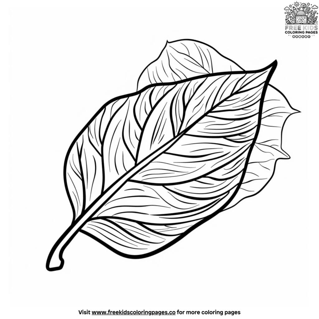 23+ Beautiful Leaf Coloring Pages: Fun And Educational Activity For Kids