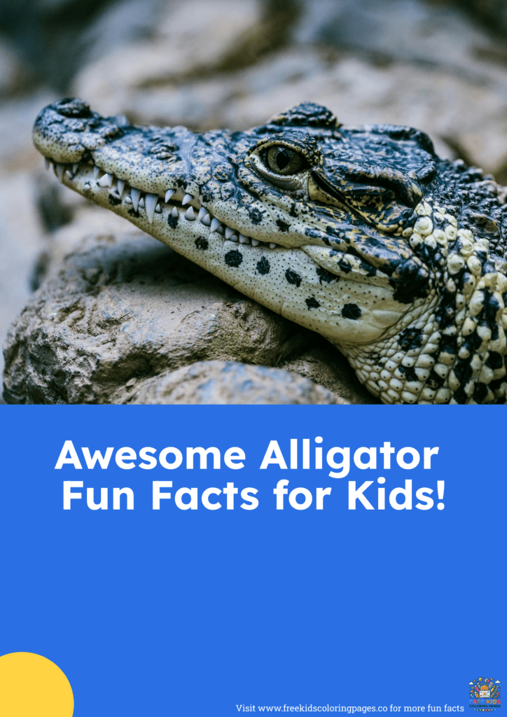 Awesome Alligator Fun Facts Printable For Kids' Learning