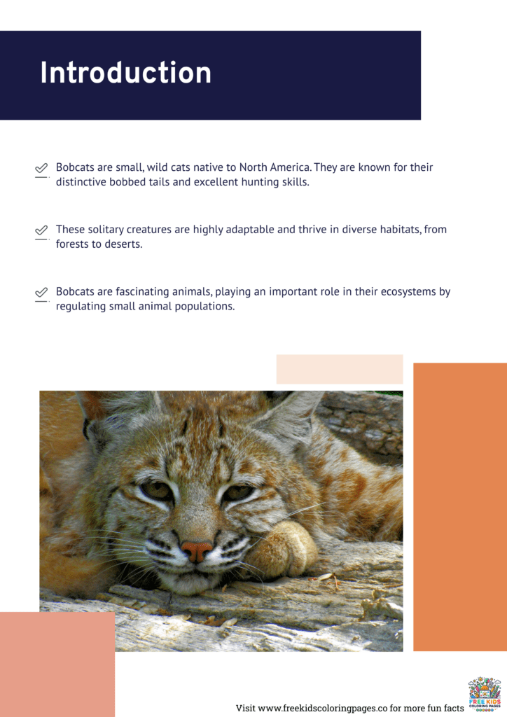 Fierce And Furry Bobcat Fun Facts Printable For Kids