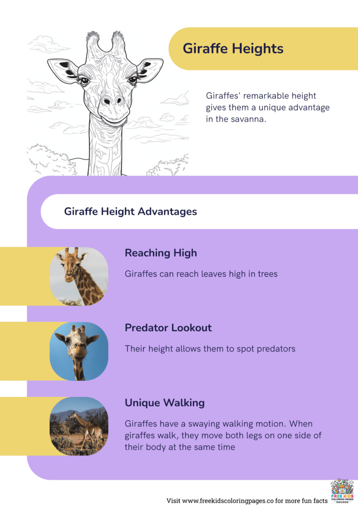 Gigantic Giraffe Fun Facts Printable For Kids To Explore