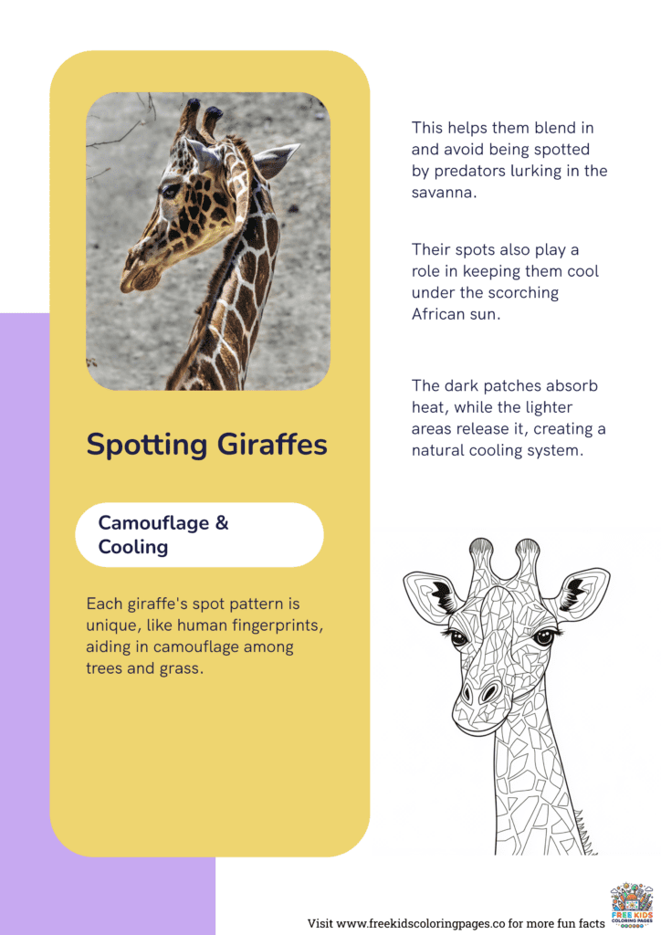 Gigantic Giraffe Fun Facts Printable For Kids To Explore