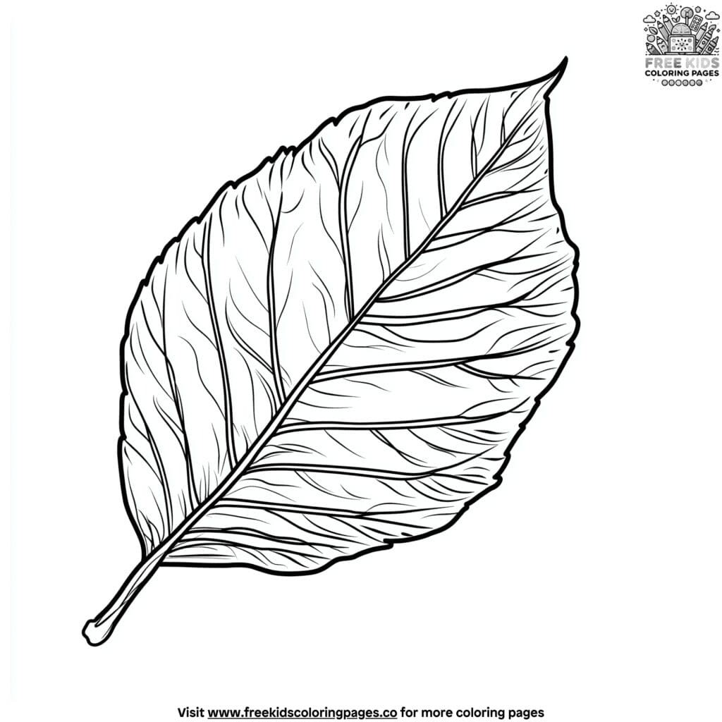 Almond Leaf Coloring Pages