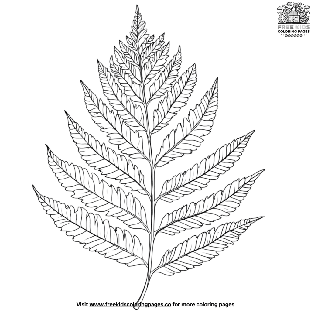 Beautiful Fern Leaf Coloring Pages