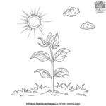 25+ Exciting Science Coloring Pages: Fun And Educational For Kids