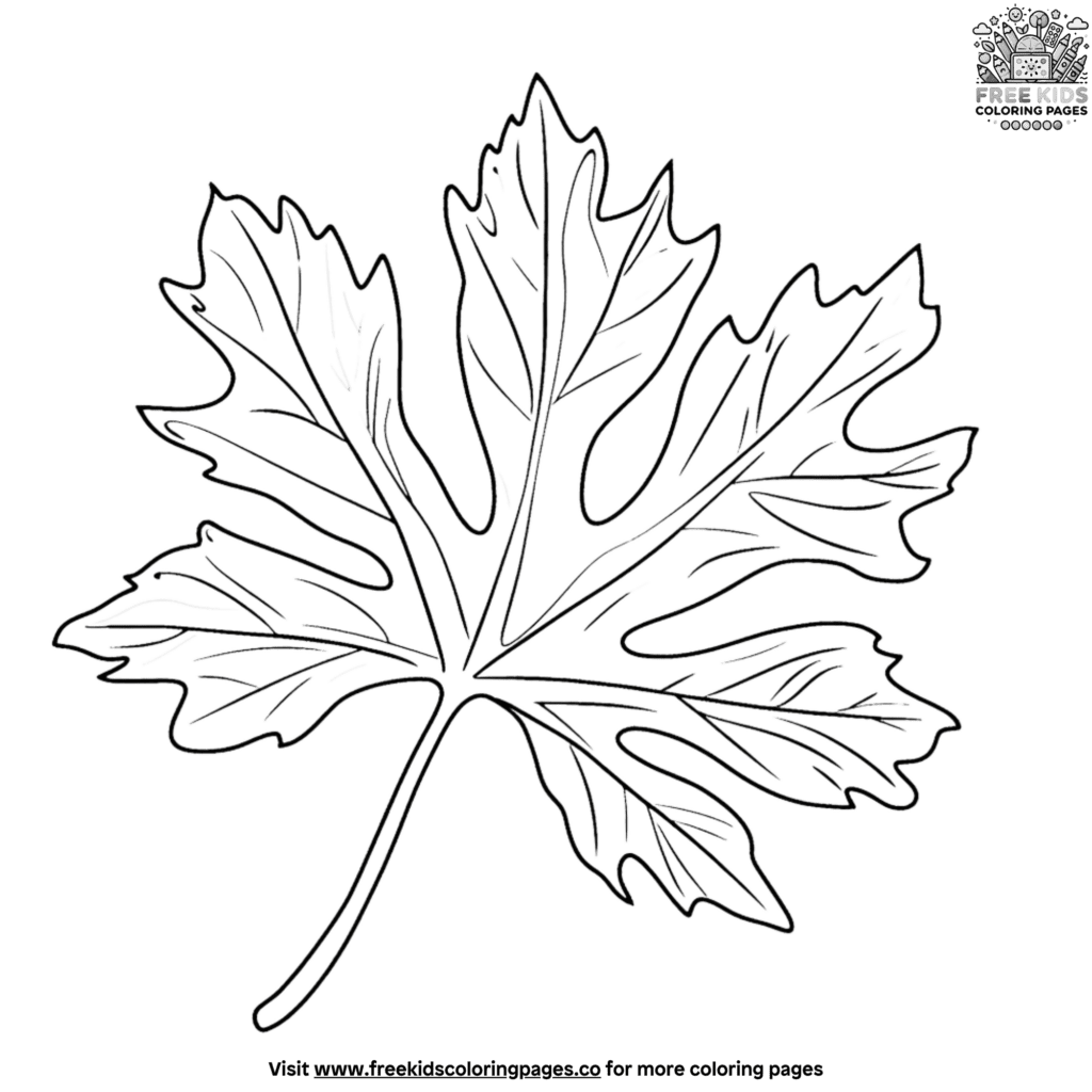 23+ Beautiful Leaf Coloring Pages: Fun And Educational Activity For Kids