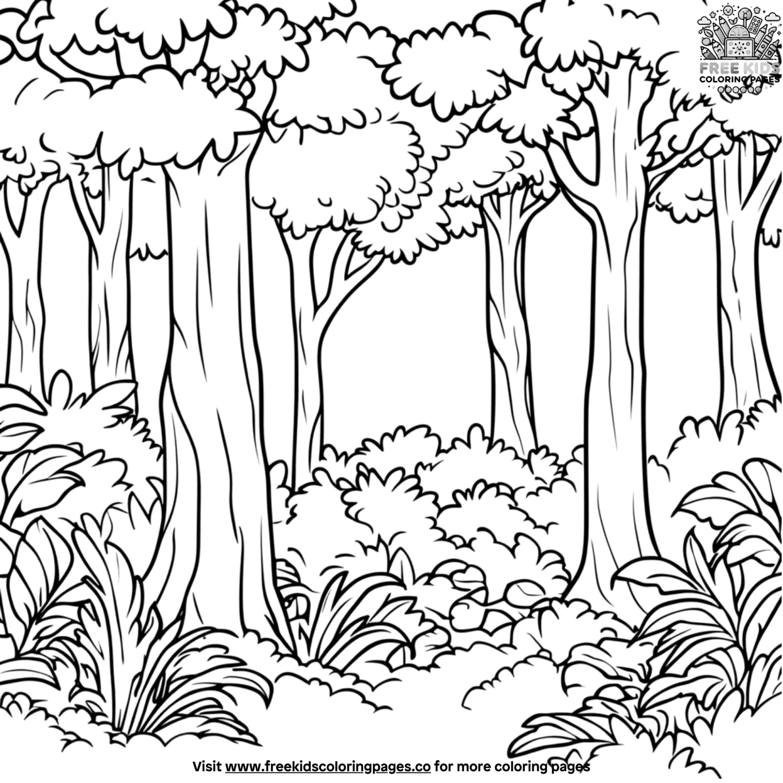 Rainforest Canopy Tree Coloring Pages