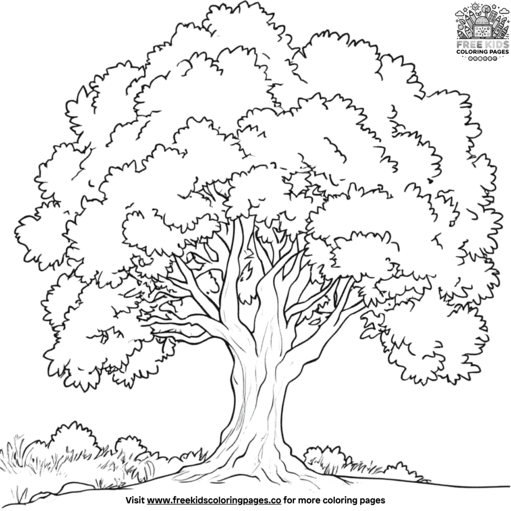 Shady Maple Tree Coloring Pages