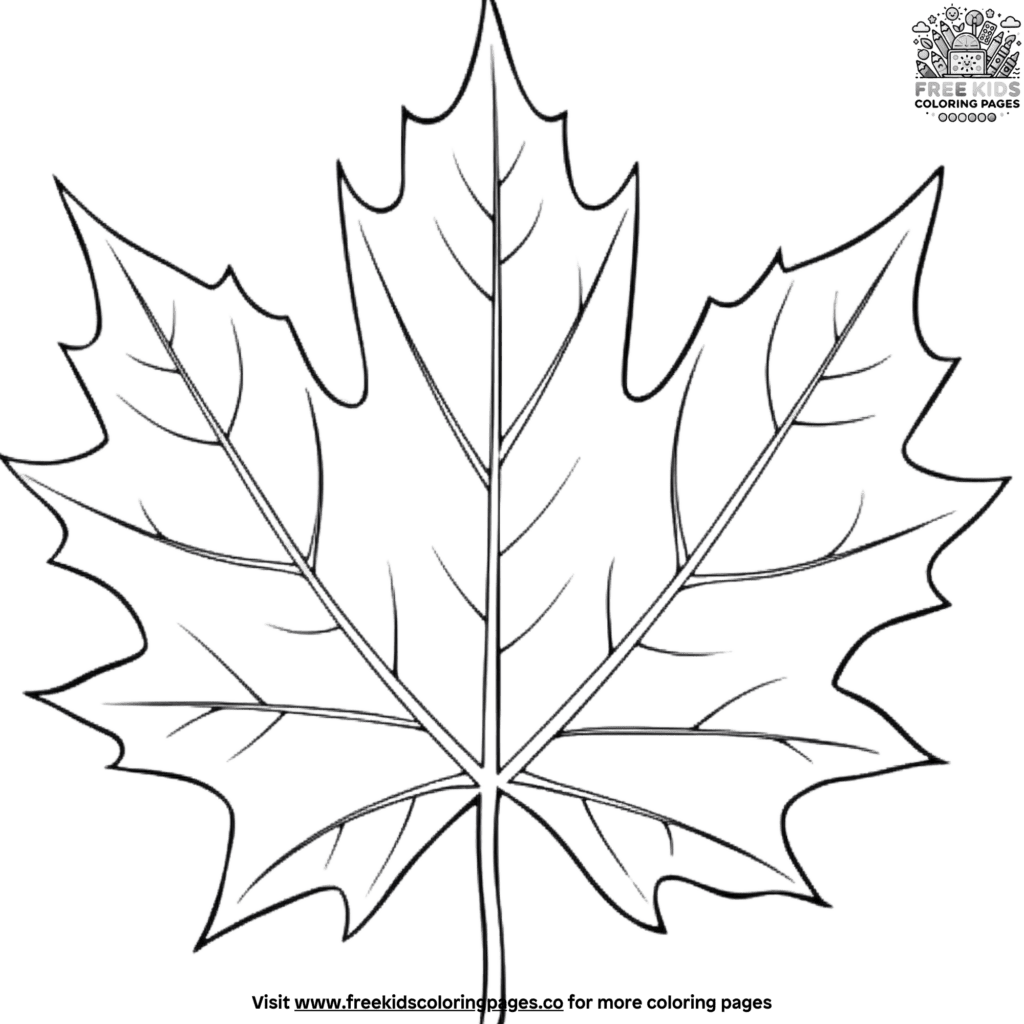 Big Sycamore Leaf Coloring Pages