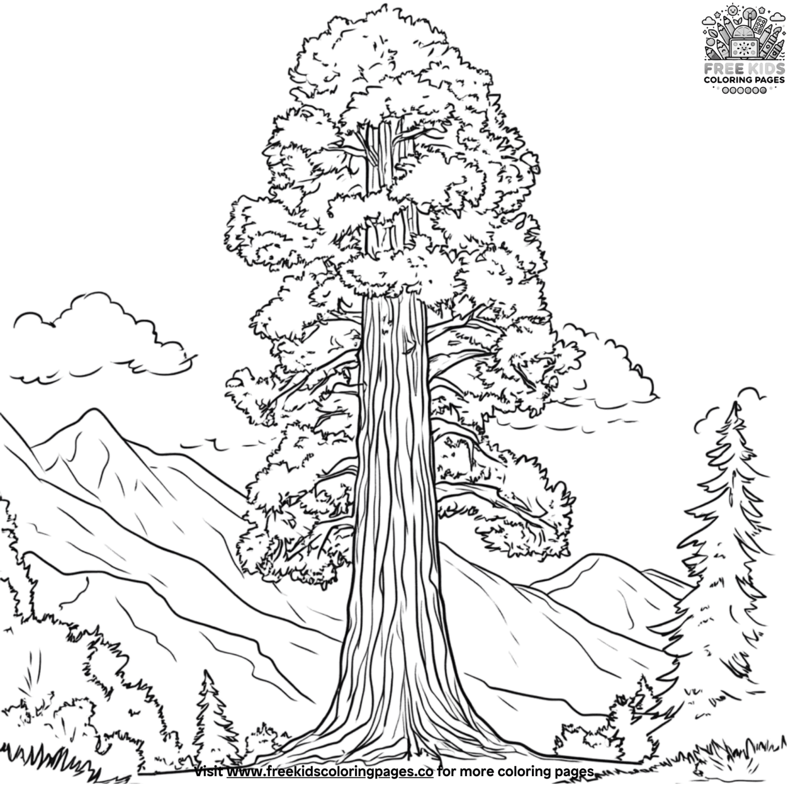 Tall Redwood Tree Coloring Pages