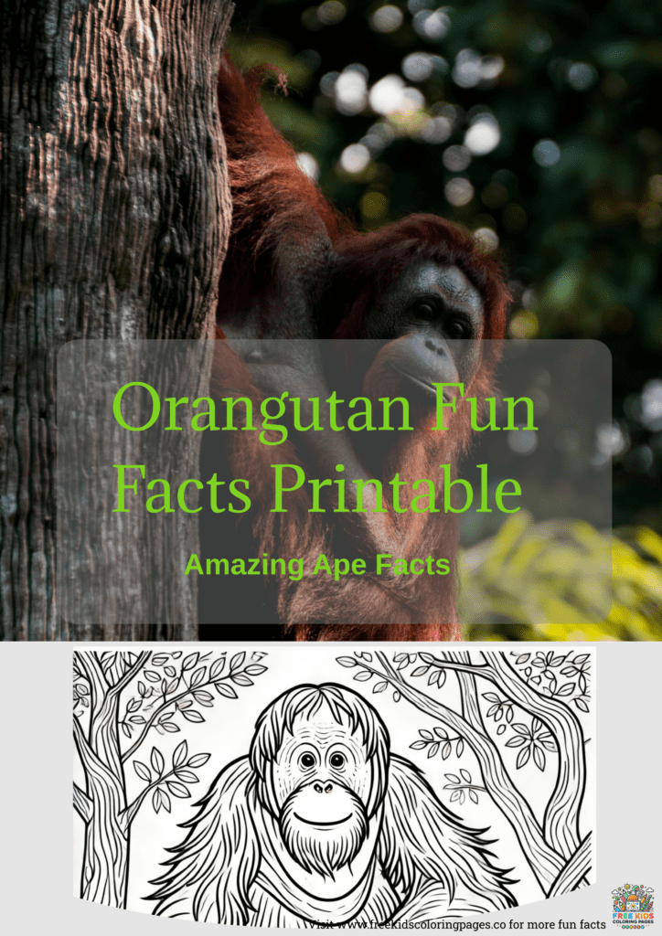 Awesome Orangutan Fun Facts Printable For Kids - Free Kids Coloring Pages