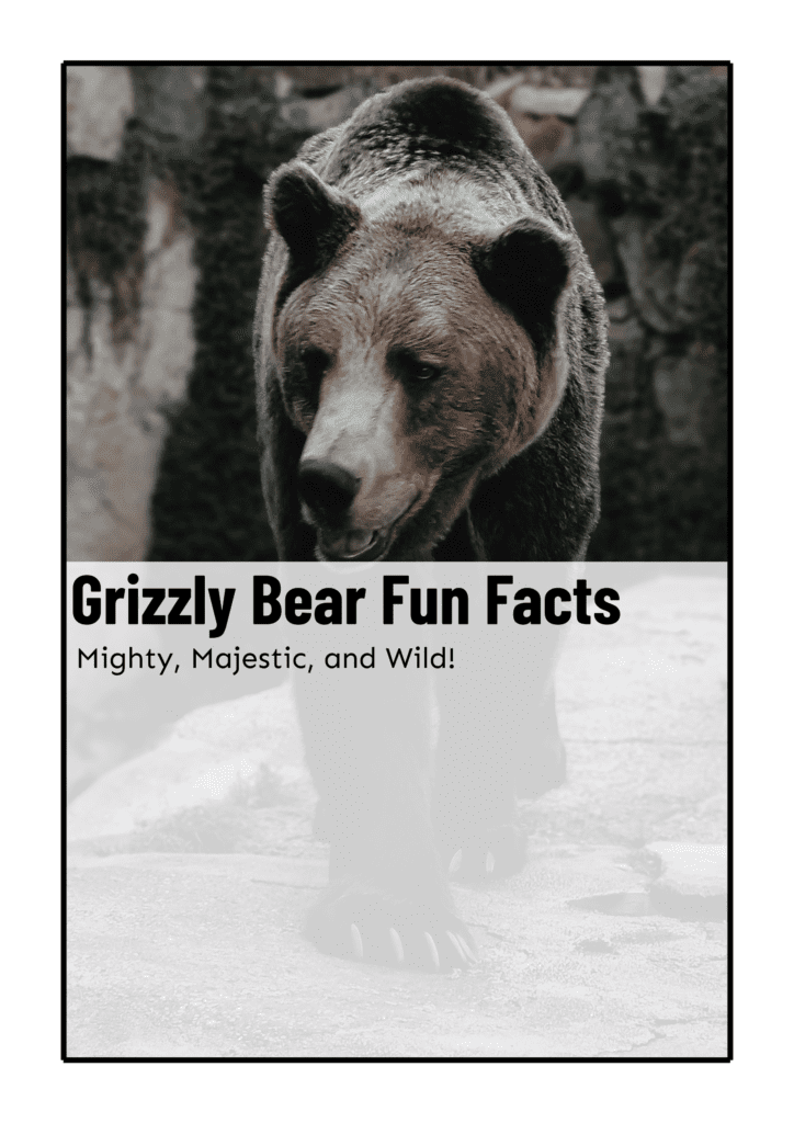 Grizzly Bear Fun Facts Printable For Kids - Free Kids Coloring Pages