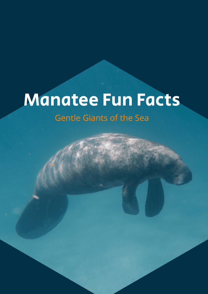Marvelous Manatee Fun Facts Printable - Free Kids Coloring Pages