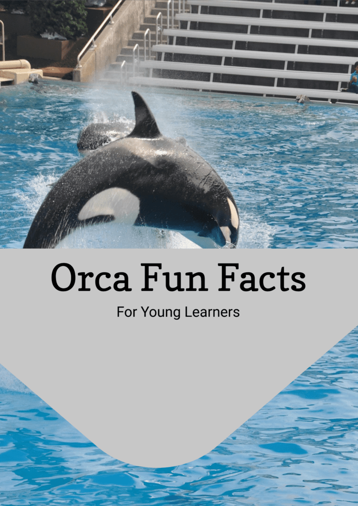 Awesome Orca Fun Facts Printable - Free Kids Coloring Pages