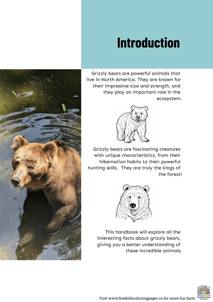 Grizzly Bear Fun Facts Printable For Kids - Free Kids Coloring Pages
