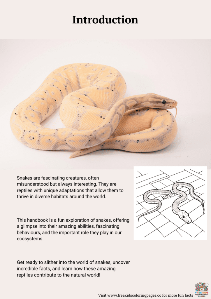 Slithery Snake Fun Facts Printable - Free Kids Coloring Pages