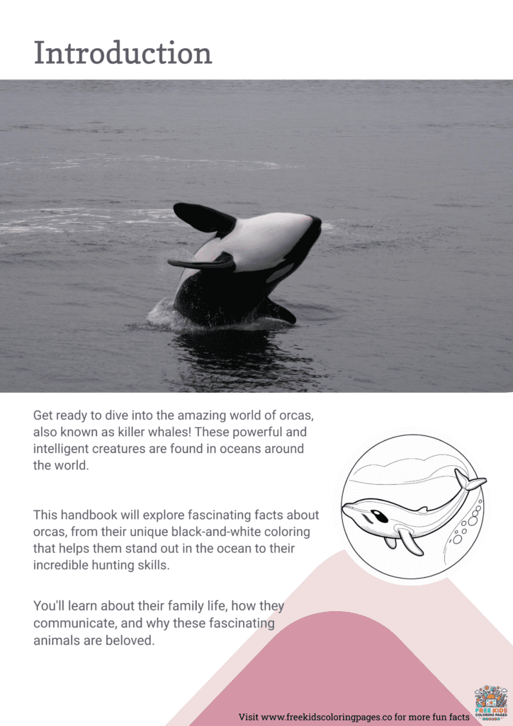 Awesome Orca Fun Facts Printable - Free Kids Coloring Pages