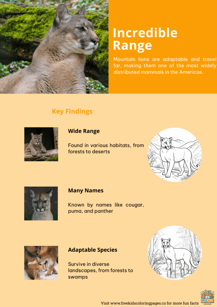 Mountain Lion Fun Facts Printable - Free Kids Coloring Pages