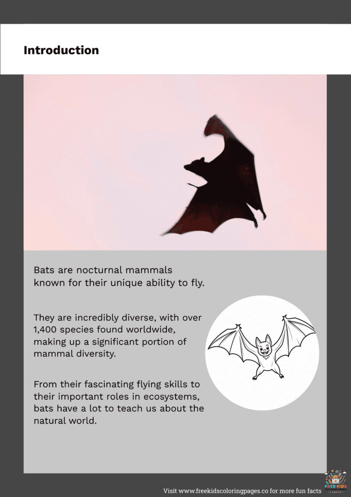 Bats Fun Facts Printable: Amazing Creatures Of The Night! - Free Kids ...