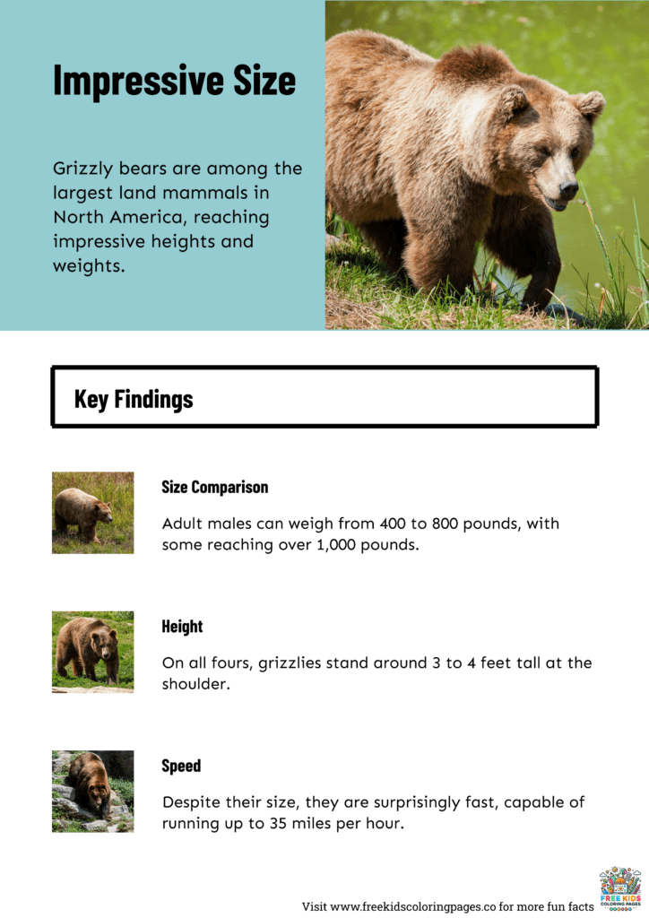 Grizzly Bear Fun Facts Printable For Kids - Free Kids Coloring Pages
