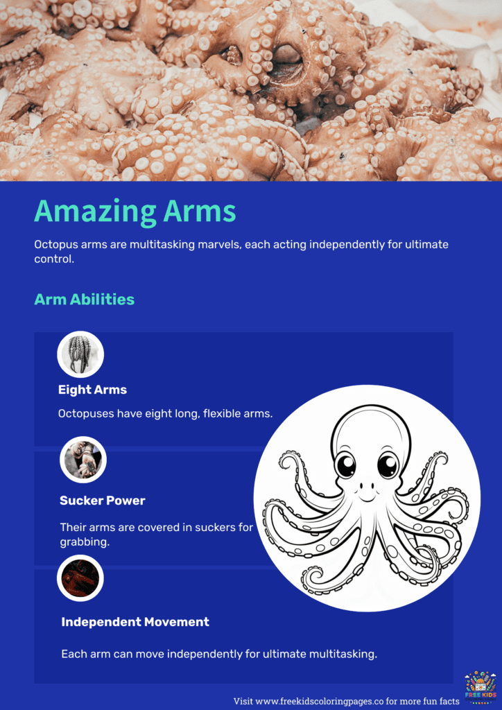 Amazing Octopus Fun Facts Printable - Free Kids Coloring Pages