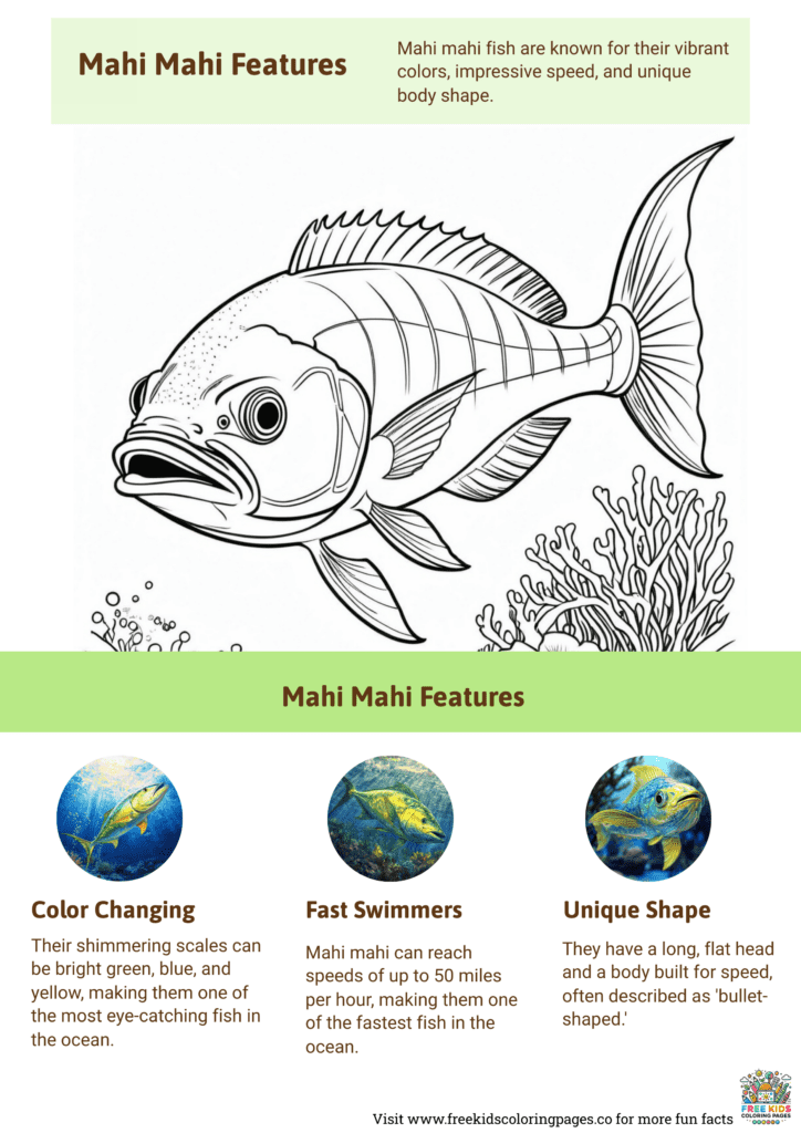 Magnificent Mahi Mahi Fun Facts Printable - Free Kids Coloring Pages