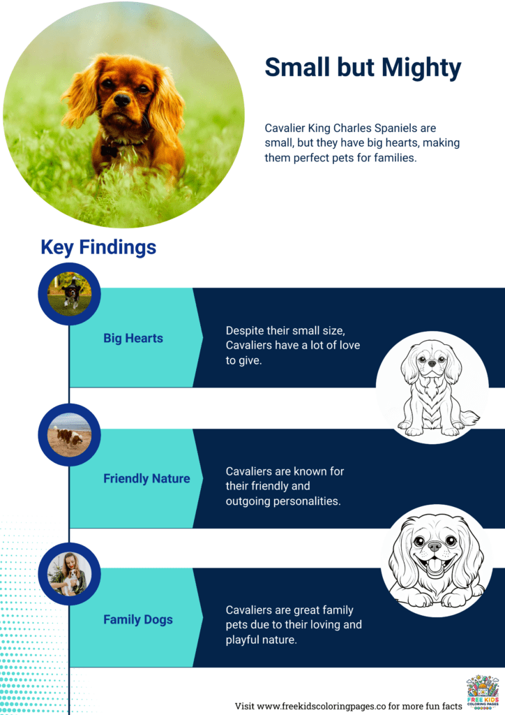 Cute Cavalier King Charles Spaniel Fun Facts Printable - Free Kids ...