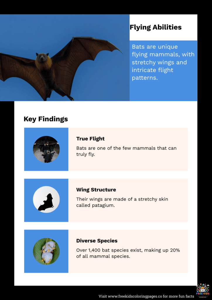Bats Fun Facts Printable: Amazing Creatures Of The Night! - Free Kids ...