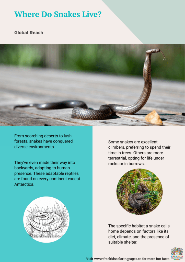 Slithery Snake Fun Facts Printable - Free Kids Coloring Pages