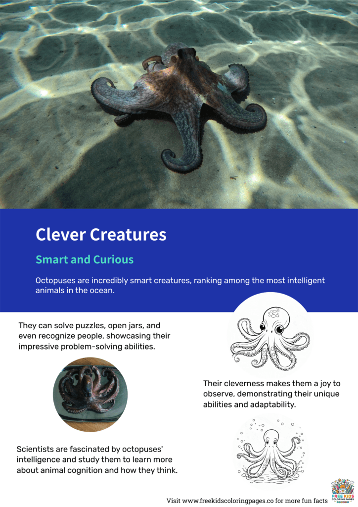 Amazing Octopus Fun Facts Printable - Free Kids Coloring Pages