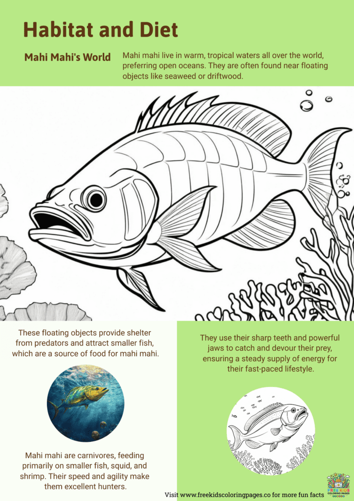 Magnificent Mahi Mahi Fun Facts Printable - Free Kids Coloring Pages