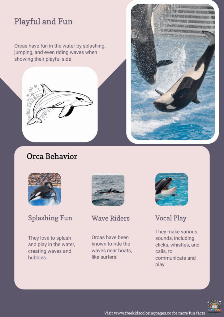 Awesome Orca Fun Facts Printable - Free Kids Coloring Pages