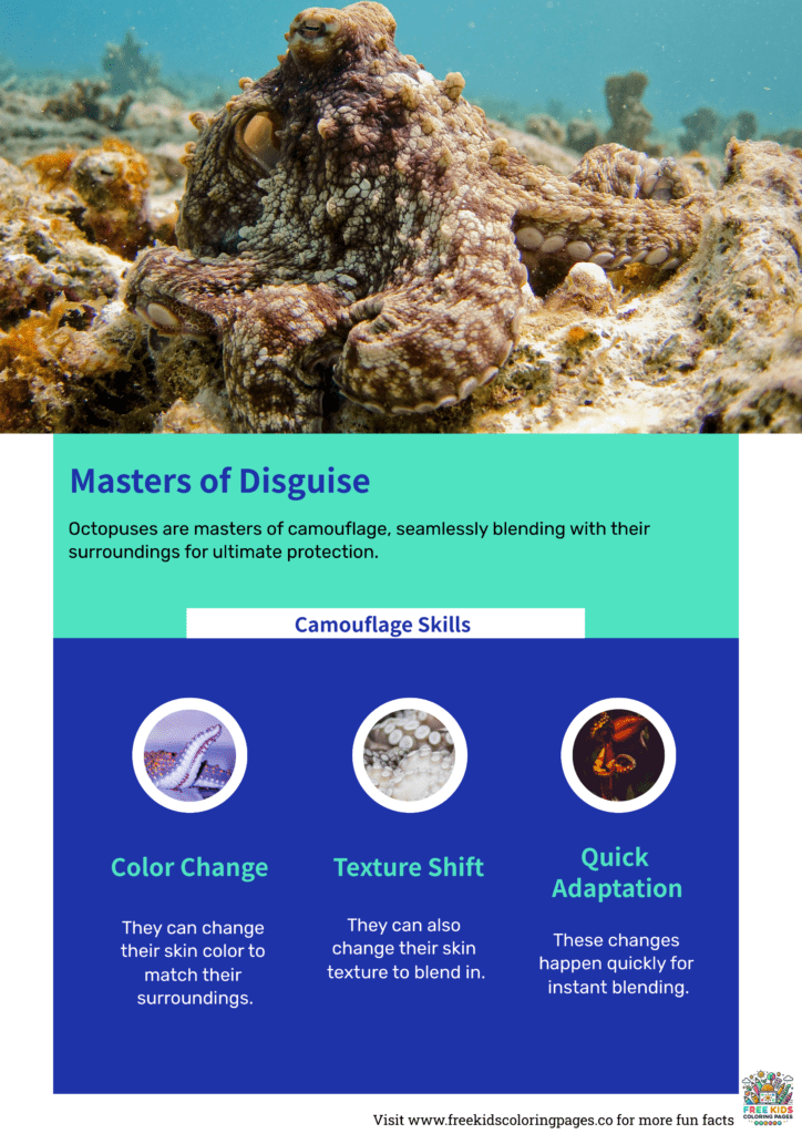 Amazing Octopus Fun Facts Printable - Free Kids Coloring Pages