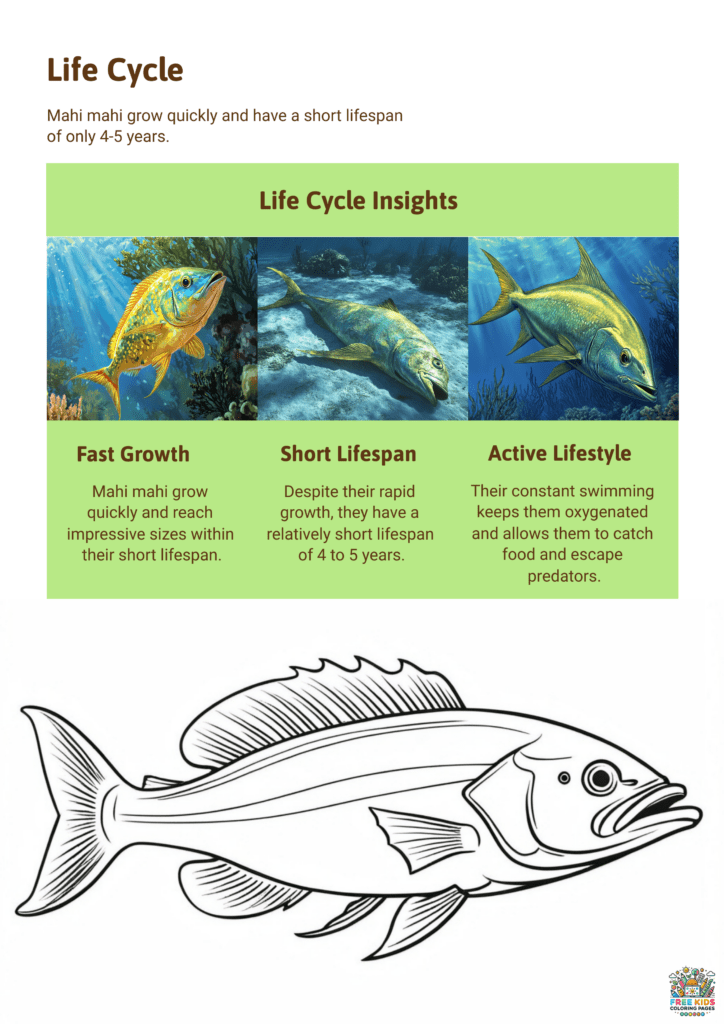 Magnificent Mahi Mahi Fun Facts Printable - Free Kids Coloring Pages