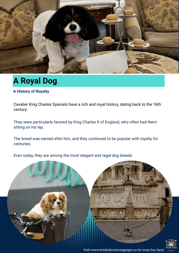Cute Cavalier King Charles Spaniel Fun Facts Printable - Free Kids ...