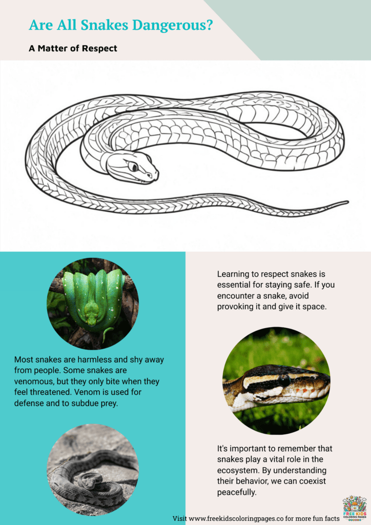 Slithery Snake Fun Facts Printable - Free Kids Coloring Pages