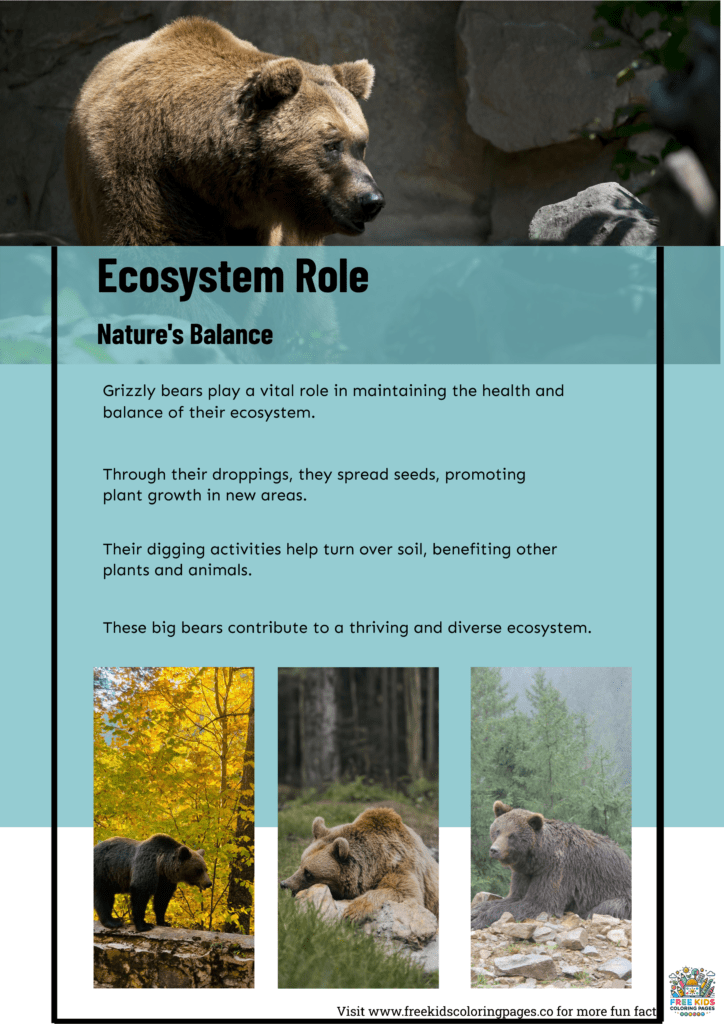 Grizzly Bear Fun Facts Printable For Kids - Free Kids Coloring Pages