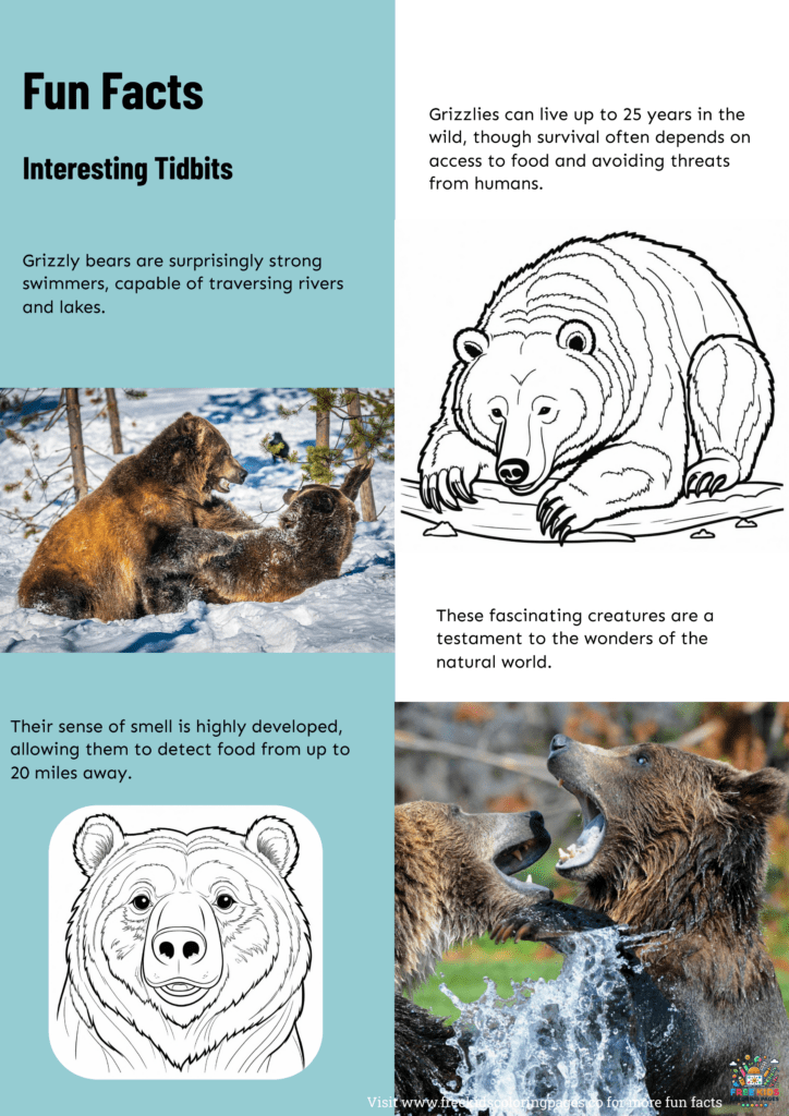Grizzly Bear Fun Facts Printable For Kids - Free Kids Coloring Pages