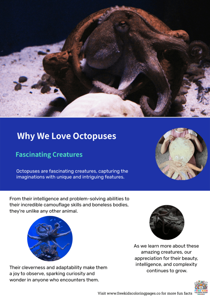 Amazing Octopus Fun Facts Printable - Free Kids Coloring Pages