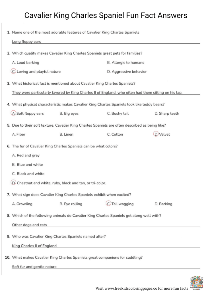 Cute Cavalier King Charles Spaniel Fun Facts Printable - Free Kids ...