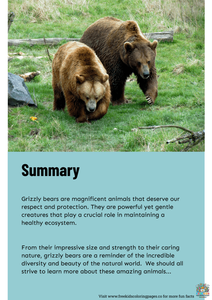 Grizzly Bear Fun Facts Printable For Kids - Free Kids Coloring Pages