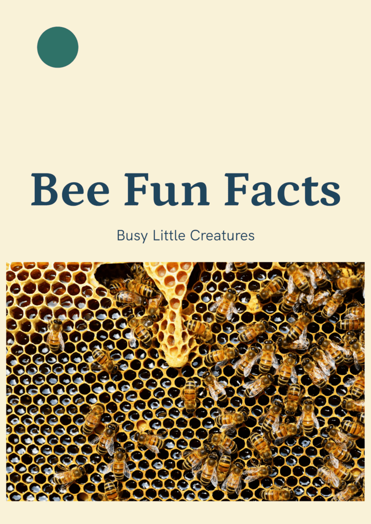 Bee Fun Facts Printable - Free Kids Coloring Pages
