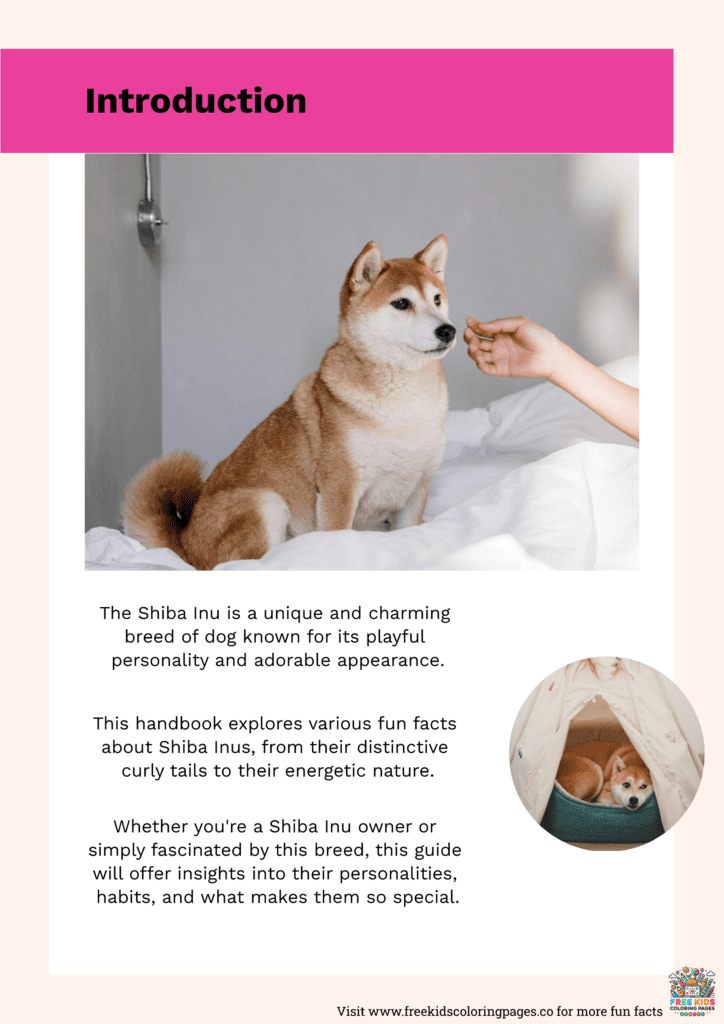 Shiba Inu Fun Facts Printable - Free Kids Coloring Pages