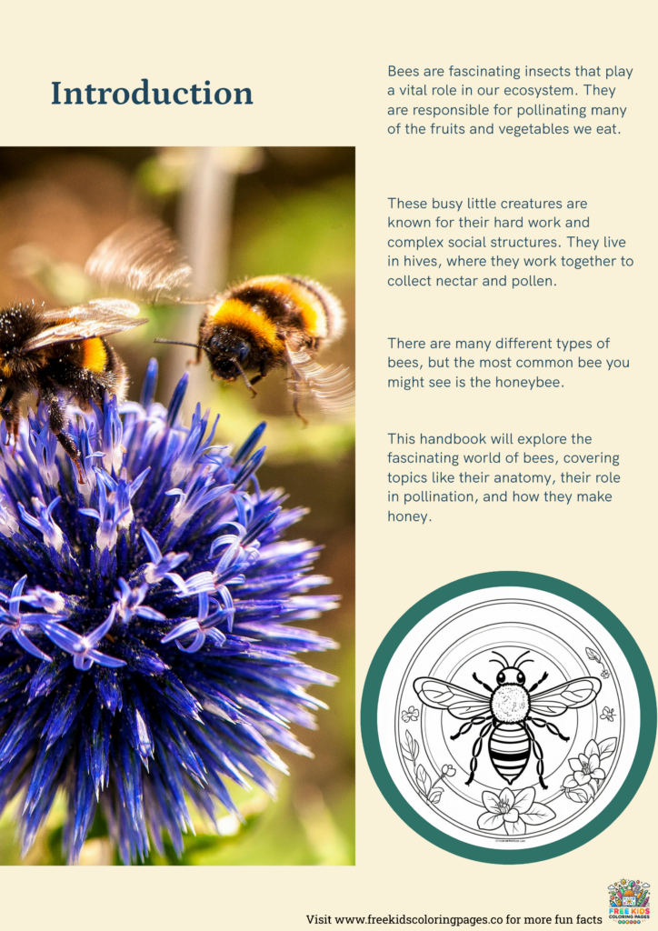Bee Fun Facts Printable - Free Kids Coloring Pages