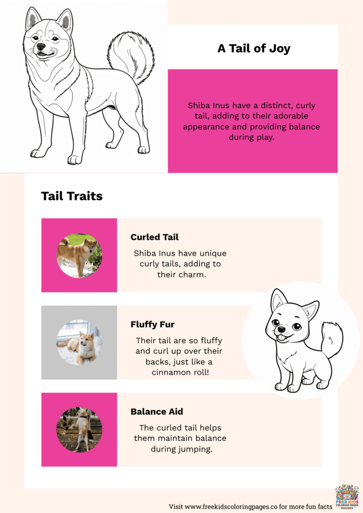 Shiba Inu Fun Facts Printable - Free Kids Coloring Pages