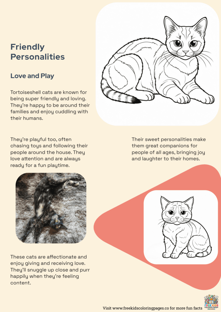 Tortoiseshell Cat Fun Facts Printable - Free Kids Coloring Pages