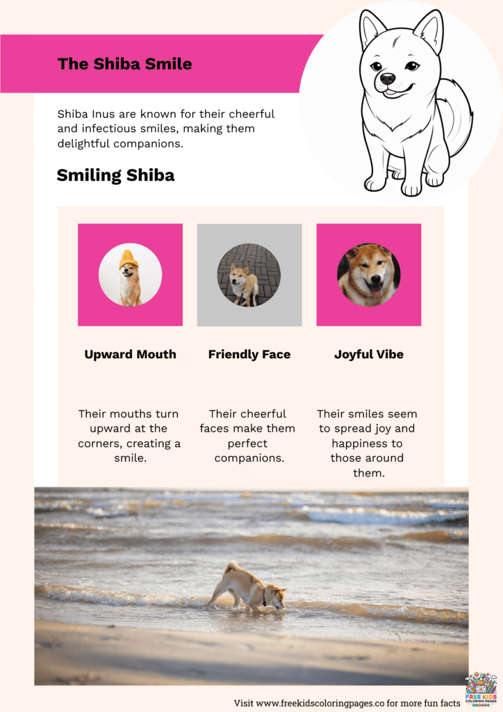 Shiba Inu Fun Facts Printable - Free Kids Coloring Pages