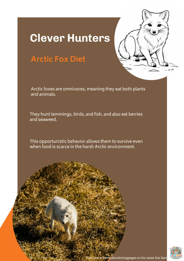 Arctic Fox Fun Facts Printable - Free Kids Coloring Pages